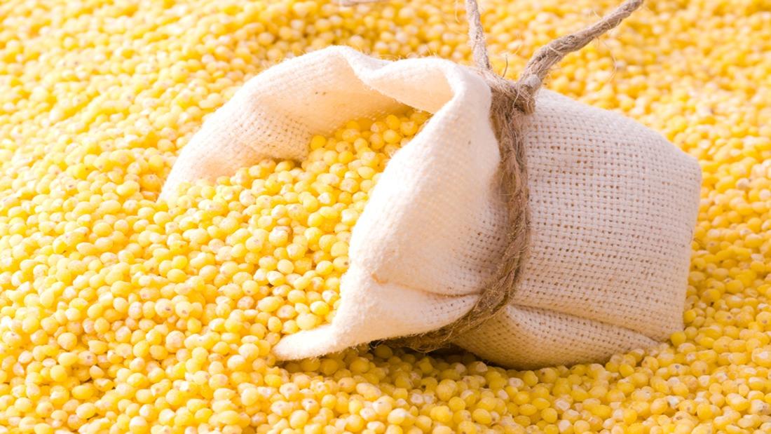 Zambia’s Millet production fails to recover beyond 60,000MT since 2000 ...