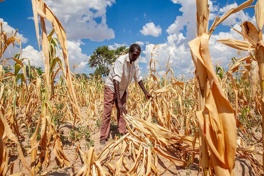 Weather experts warn of a tough farming season as El Niño signals ...
